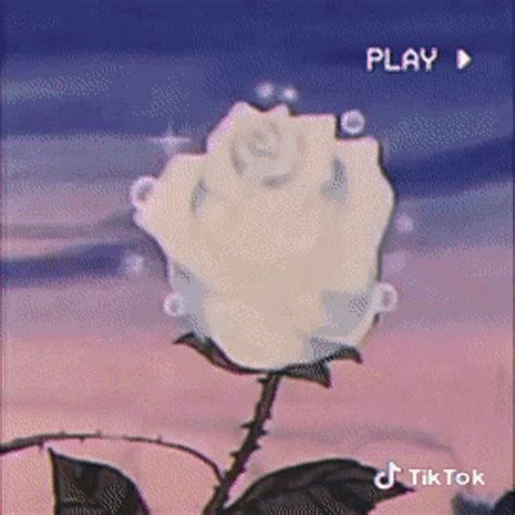 Aesthetic Tik Tok  Aesthetic Tik Tok Pose Descobrir E