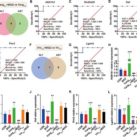 Heatmap Of Correlation Between The Levels Of Serum Biochemistry ALT Download Scientific