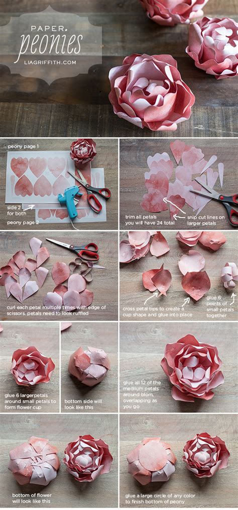 Ateli Craft Diy As Flores De Lia Griffith