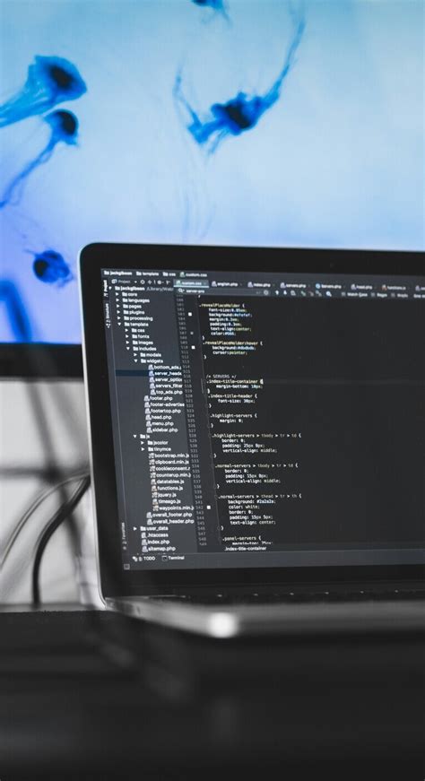 Langages De Programmation Guide Complet Pour Débutants Solutions Intelligentes Connect It