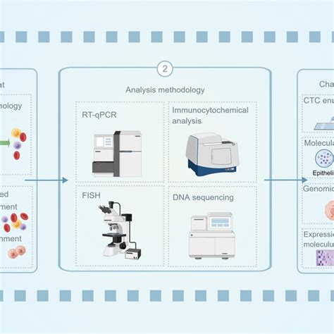 Isolation Detection And Characterization Of Ctcs And The Associated
