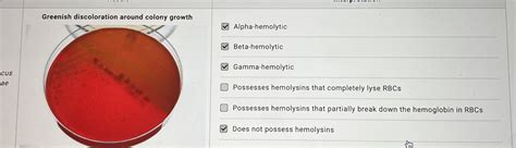 Solved Greenish Discoloration Around Colony
