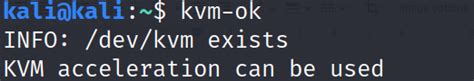 How To Install KVM And VirtManager On Kali Linux VITUX