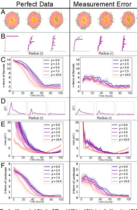 Pdf Multiparameter Persistent Homology Landscapes Identify Immune Cell Spatial Patterns In