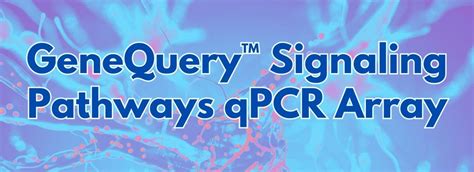 Optimize Your Research With Genequery™ Signaling Pathways Qpcr Array Kits