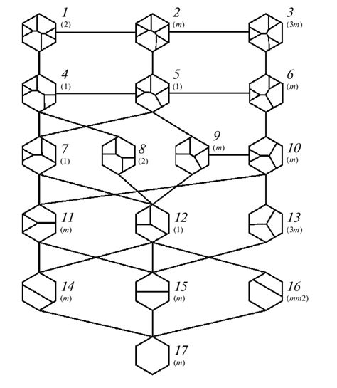 Graph Of The Markovian Process Of Transitions Between The Morphotypes Download Scientific