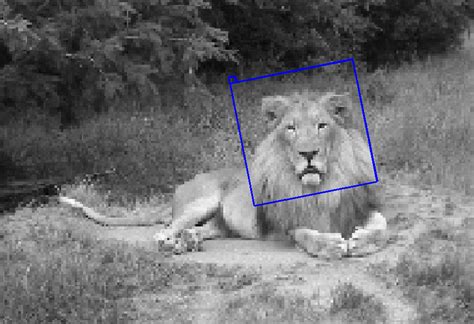 Detection By Sparse Frame