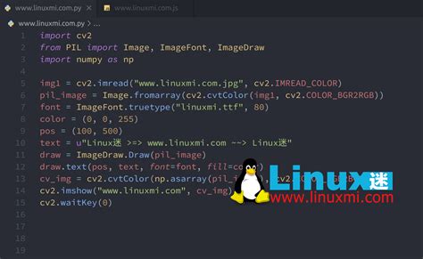 推荐优秀的编程字体，让代码看着更美观 linux迷