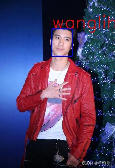 基于mtcnn arcface的人脸检测和人脸识别 arcface人脸识别程序 csdn博客
