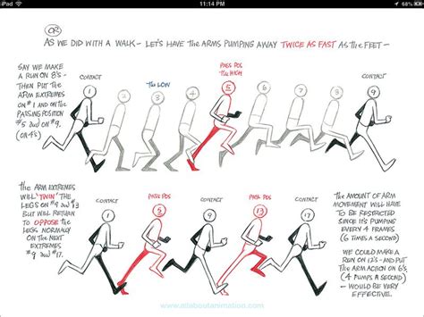Animation Reference Animation Animation Tutorial