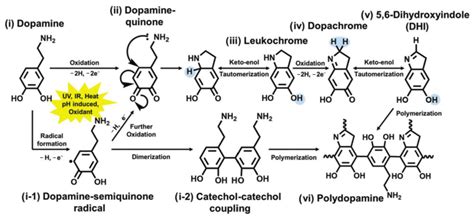 Surface Modification Progress For Plga Based Cell Scaffolds
