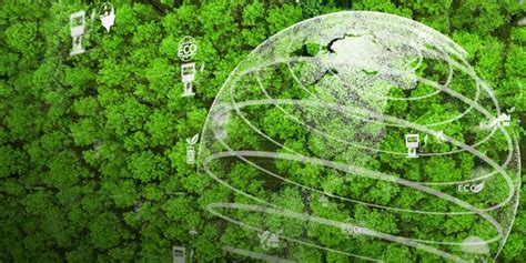 Green Software Development Guide To Starting A Career Green Tech News Middle East
