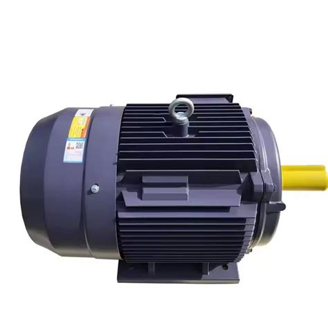 China Customized Three Phase Asynchronous Induction Motors