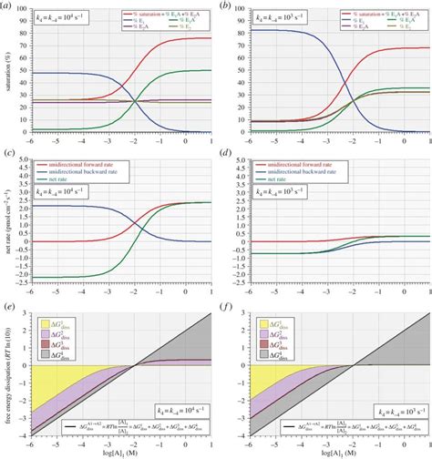 Variation Of Enzyme Saturation A B Unidirectional And Net Reaction