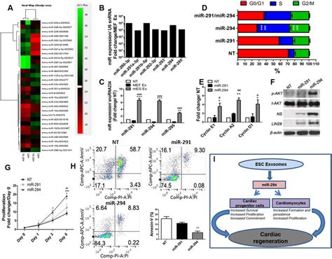 Mirna Profiling Of Mouse Embryonic Stem Cell Derived Exosome Mes Ex