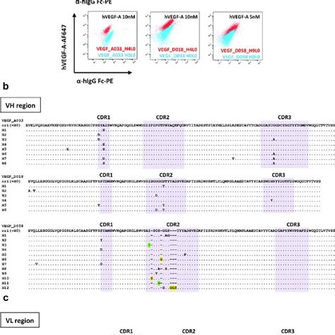 Affinity Maturation Against The Model Human Antibodies Using Adlib® Download Scientific Diagram
