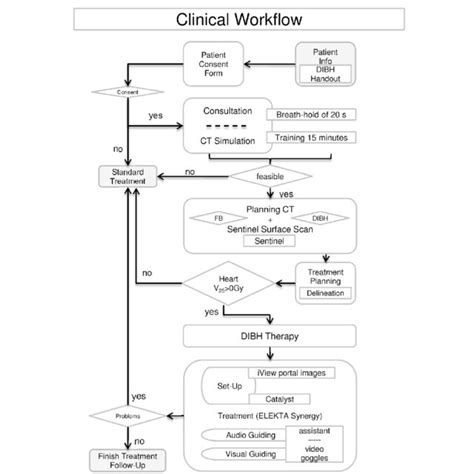 Schematic Overview Of The Clinical Workflow Download Scientific Diagram