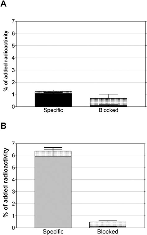 Percentage Of Cell Associated Vs Total Added Radioactivity Comprising