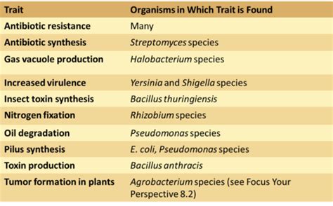 Biol 251 Ch 10 And 11 Flashcards Quizlet