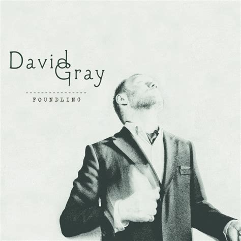 David Gray Foundling Deluxe Edition 2010 Album Profile Dork