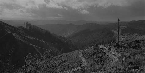 Home Apex Equipment Smart Logging