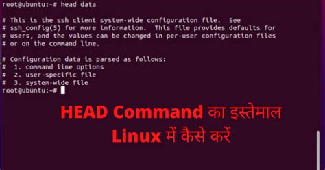 Linux vs windows लनकस और वडज म अतर कस इसतमल करन चहए