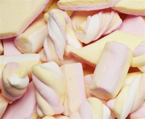 무료 사진 과일 맛 있는 달콤한 베리 라즈베리 크림 음식 디저트