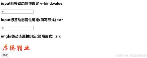 Vue程序（1） Csdn博客