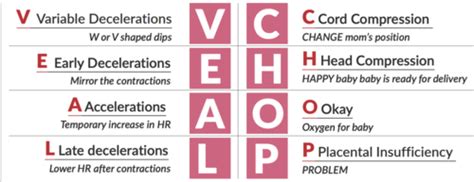 OB Final Exam Flashcards Quizlet