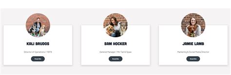 Reasons Why Web Design Is Important