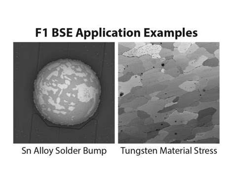 F1 Bse Detector Backscatter Electron Detector Semtech Solutions