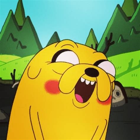 배재대학교 제4대 동고동락 하워드학생회 안녕하세요 하워드학우분들~󾰙 더운 여름방학 어떻게 보내시고 계신가요 국내로해외로