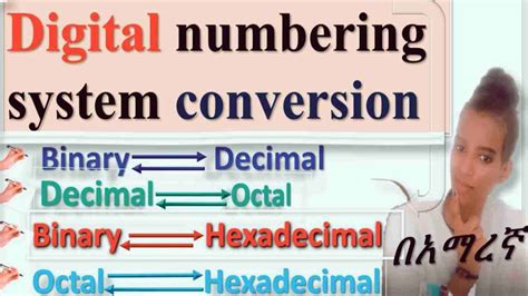 Binary To Decimal Octal To Hexadecimal Decimal To Hexadecimal Numbering System Conversion