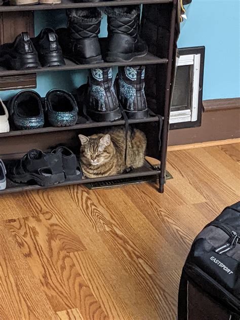 Best Racks Images On Pholder Design Porn Gym Memes And Captain Sparklez