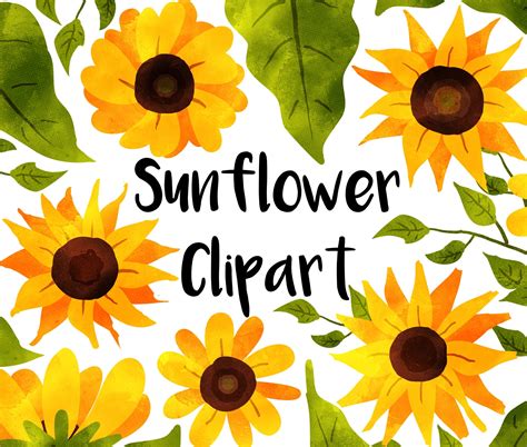 Sunflower Clip Art