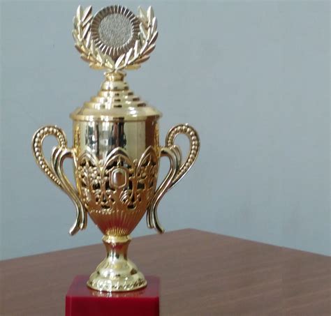 ყვარლის N1 საჯარო სკოლის ვაჟ ხელბურთელთა გუნდმა რეგიონალურ თამაშებში გაიმარჯვა ეტალონი