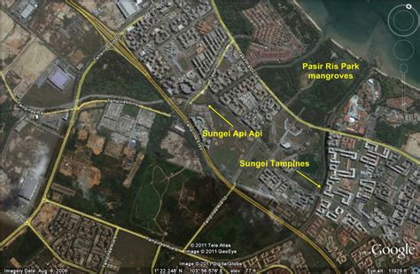 Wild Shores Of Singapore Pollution At Sungei Api Api