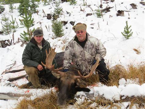 British Columbia Moose Hunting Outfitters Bc Big Game Hunting Guides