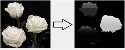 c having trouble with connected component labeling algorithm stack