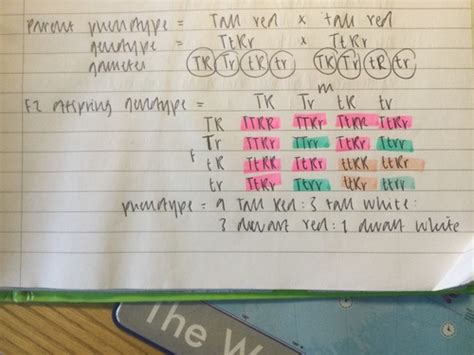 Inheritance Flashcards Quizlet Inheritance Flashcards Quizlet