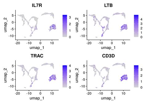 Single Cell Transcriptomics Cell Annotation