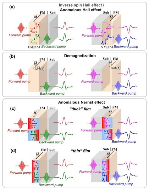 Schematic Of Distinctive Features Of Thz Emission Induced By A Download Scientific Diagram