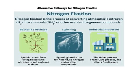 Conversion Of Nitrogen Into Ammonia And Other Nitrogenous Compounds