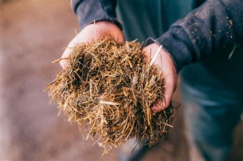 Forfarmers Uk Silage Additive Benefits Add Up