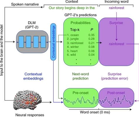 Shared Computational Principles For Language Processing In Humans And