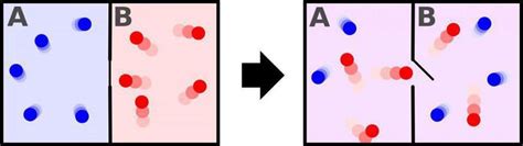 Did The Universe Have Zero Entropy When It First Began Big Think