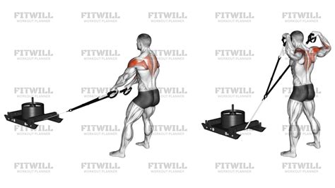 Power Sled High Pull Exercise Guide Techniques Benefits How To Muscles Worked Tips