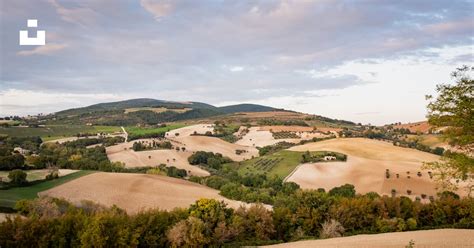 나무와 풀이 있는 풍경 사진 Unsplash의 무료 이탈리아 이미지