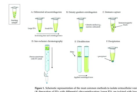 Schematic Representation Of The Most Common Methods To Isolate Download Scientific Diagram