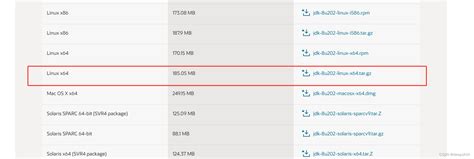 从0到1，从零在liunx服务器上搭建一个java项目 Java在linux程序开发流程 Csdn博客